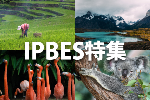 G7 G20 Special Webpage 2025 | IGES