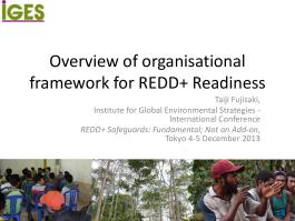 Overview of organisational framework for REDD+ Readiness