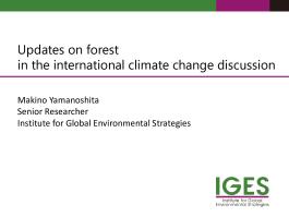 Updates on forest in the international climate change discussion