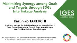 Maximizing Synergy among Goals and Targets through SDGs Interlinkage ...