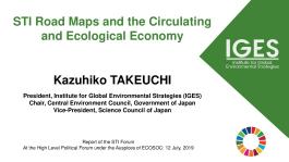 STI Road Maps and the Circulating and Ecological Economy