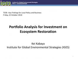 Portfolio Analysis for Investment on Ecosystem Restoration